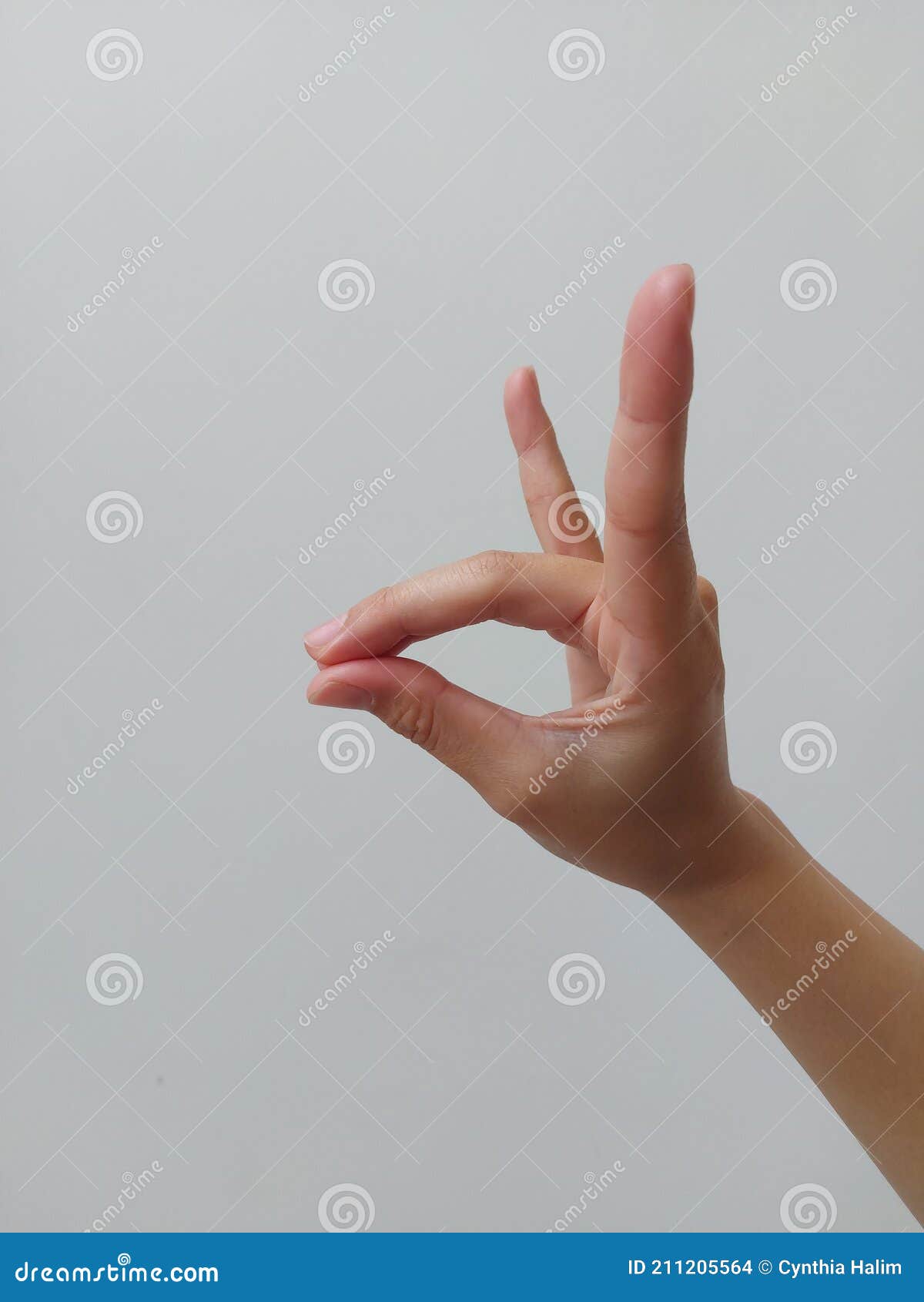 Rabbit Hand Gesture stock photo. Image of gesture, handrabbit - 211205564