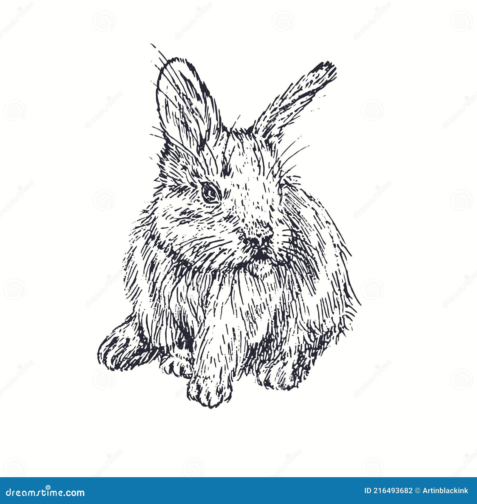 Rabbit Hare Sitting Front View. Ink Black and White Doodle Drawing ...