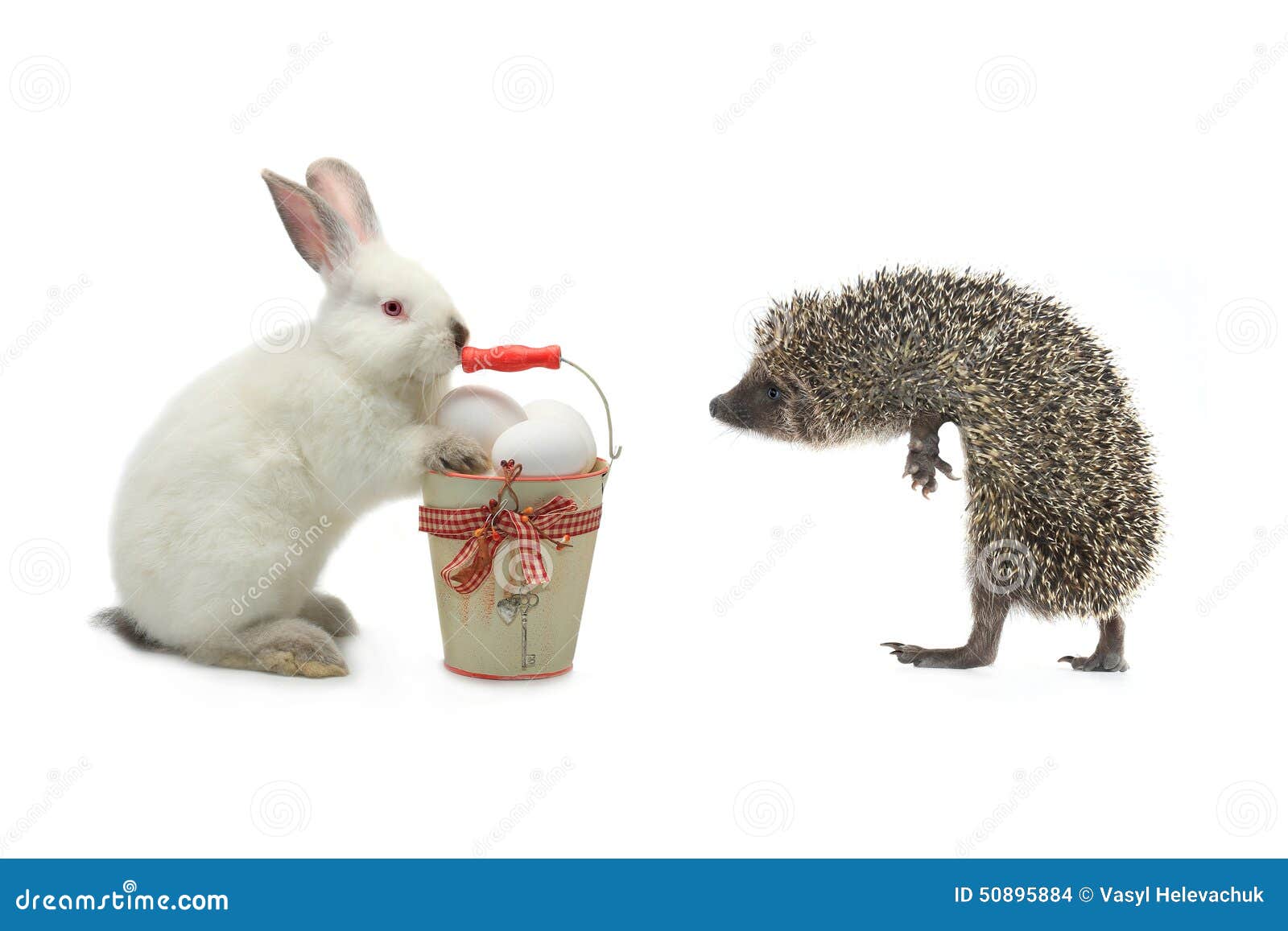 Rabbit and hedgehog stock photo. Image of resurrection - 50895884