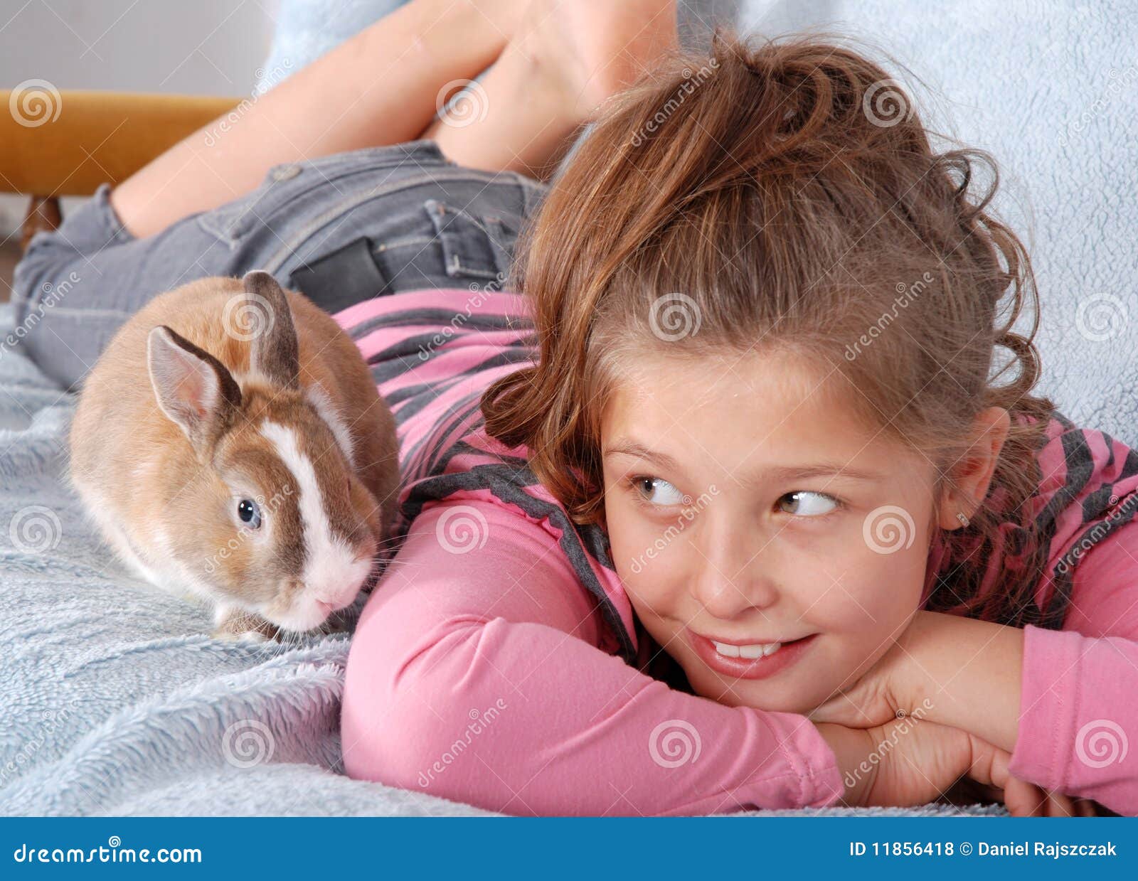 The Rabbit and His Guardian Stock Photo - Image of animal, bunny: 11856418