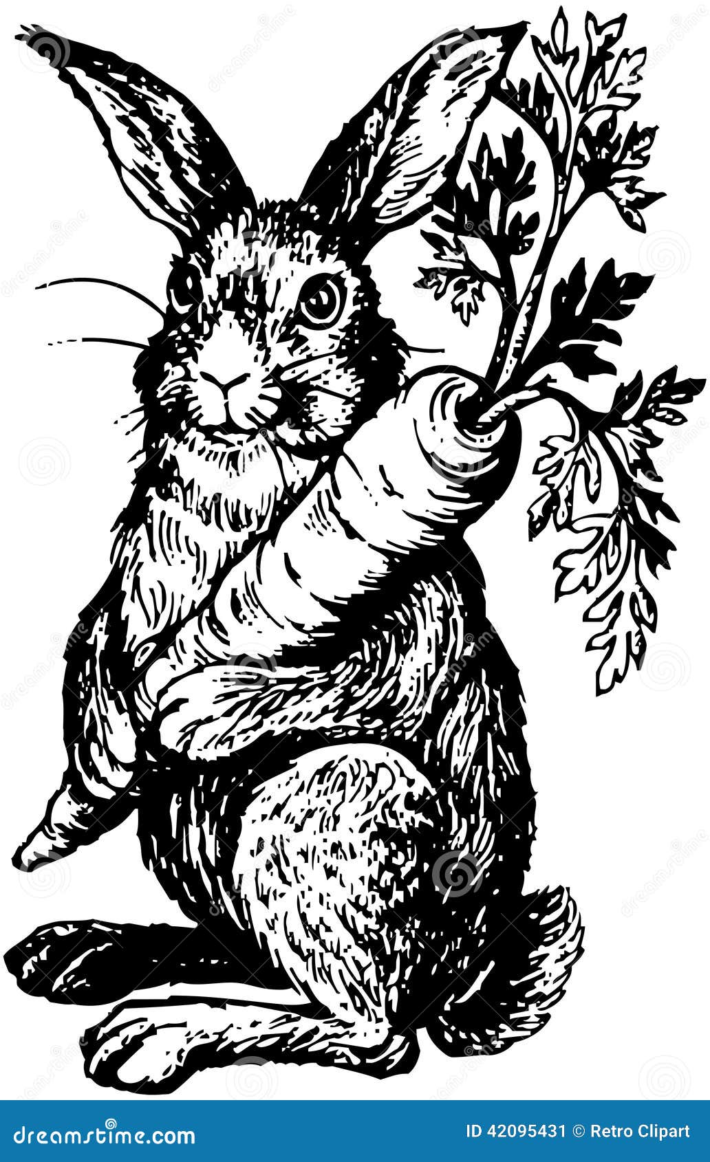 Rabbit Holding Carrot stock vector. Illustration of clip - 42095431
