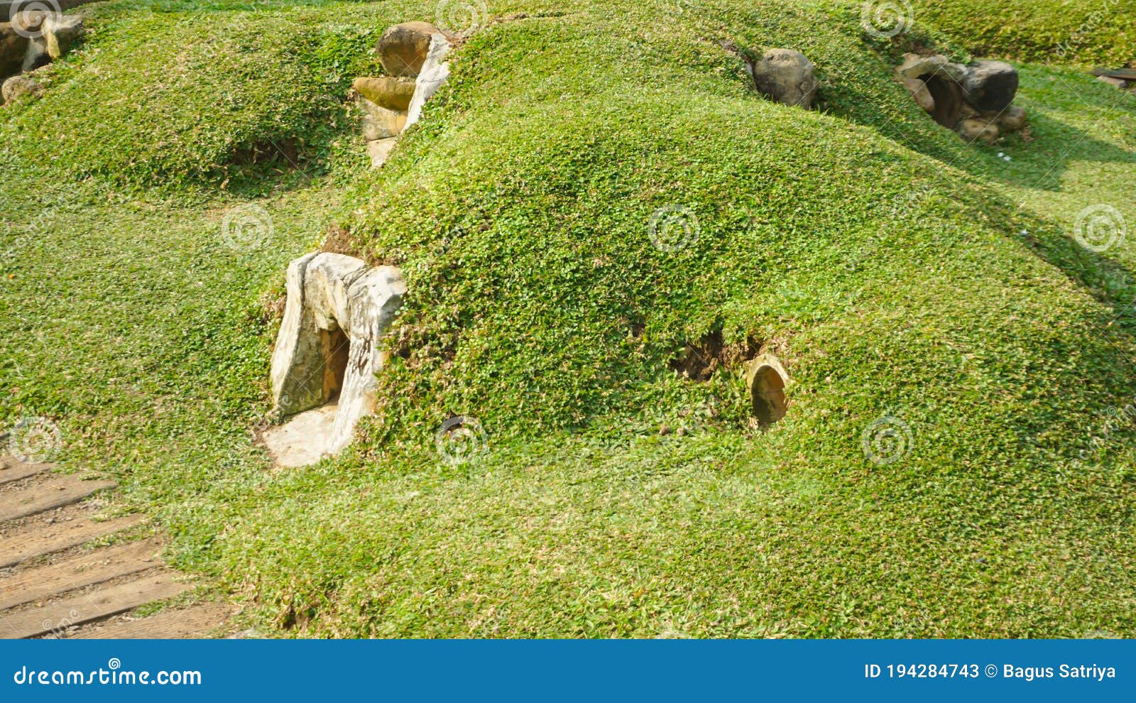 Rabbit House in the Form of Holes and Mounds, Wildlife Stock Image ...