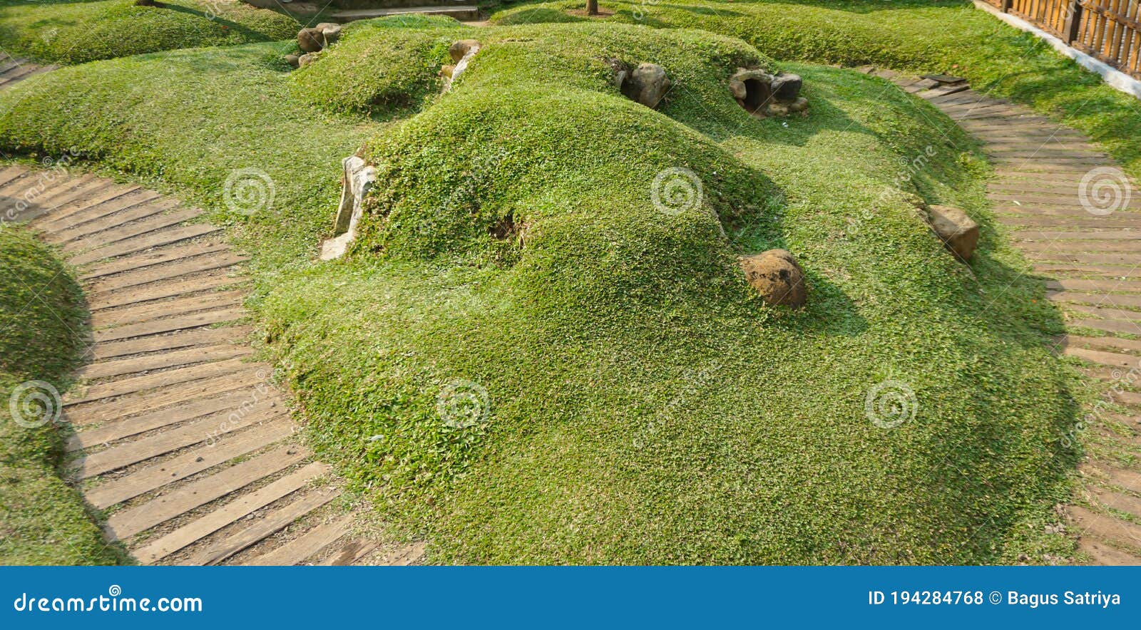 Rabbit House in the Form of Holes and Mounds, Wildlife Stock Photo ...