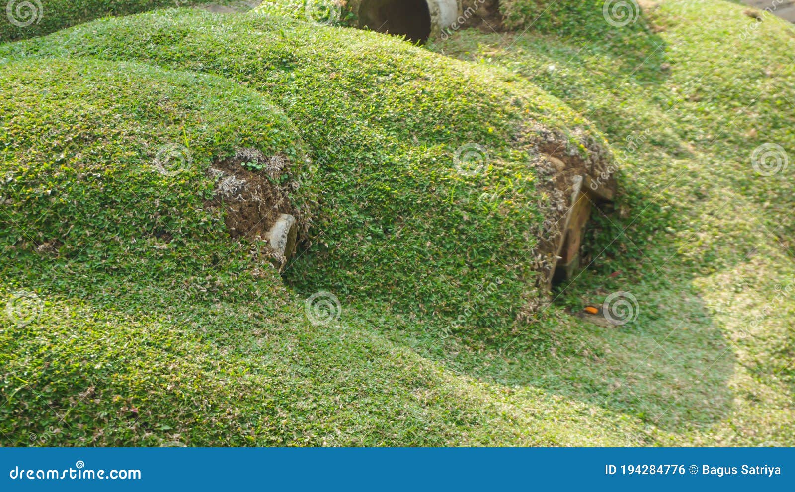 Rabbit House in the Form of Holes and Mounds, Wildlife Stock Photo ...