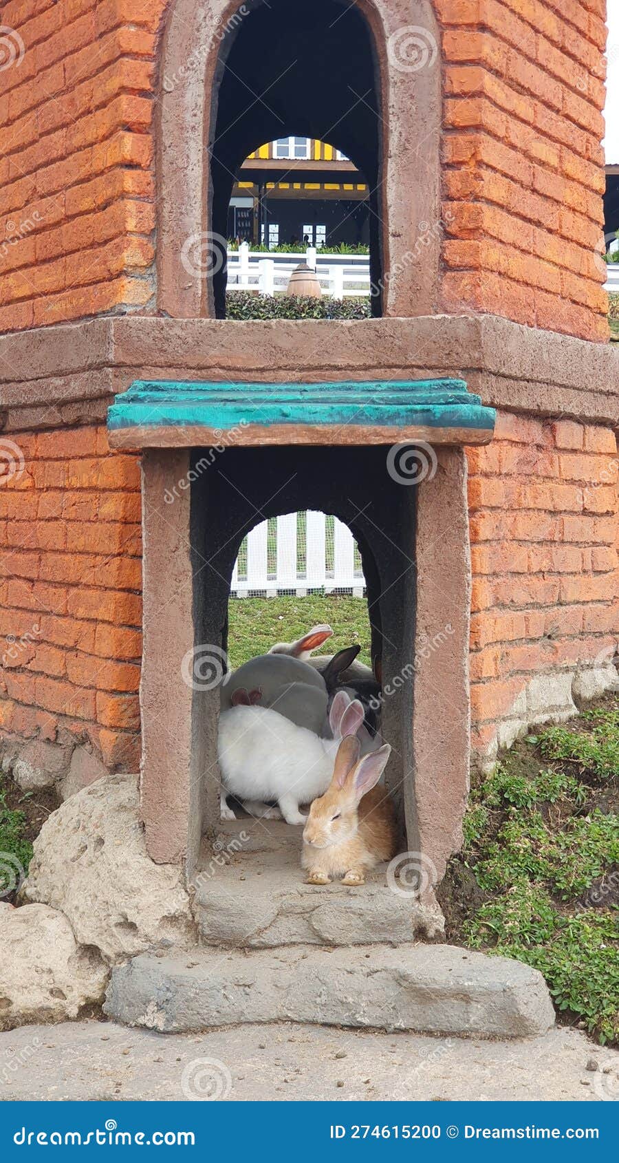 Rabbit house rest stock photo. Image of nature, cute - 274615200