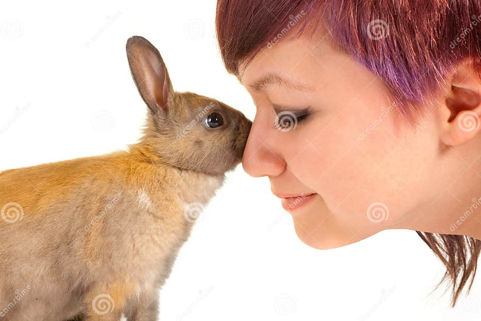Rabbit hug stock image. Image of pretty, loving, rabbits - 28892819