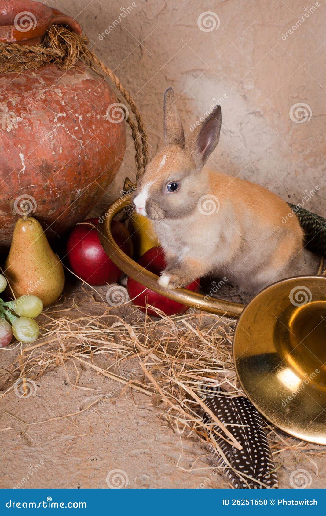Rabbit and hunting horn stock photo. Image of newborn - 26251650