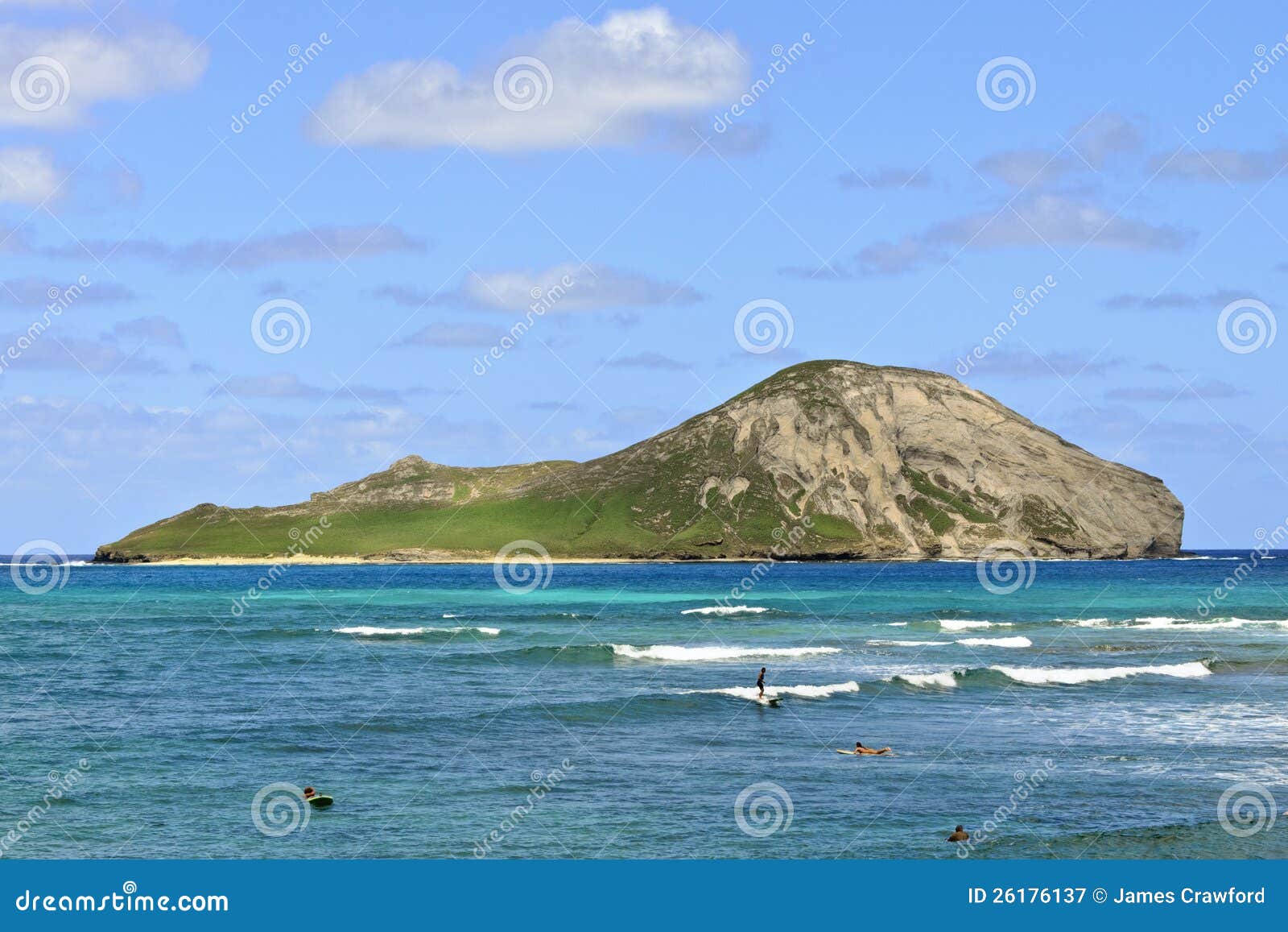 Rabbit Island stock image. Image of land, pacific, attraction - 26176137