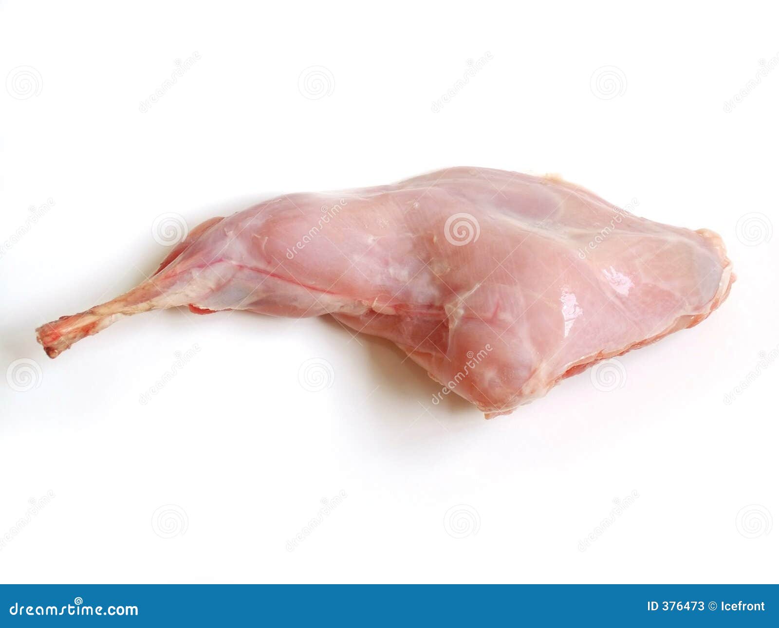 Rabbit Leg stock image. Image of muscle, meat, domestic - 376473