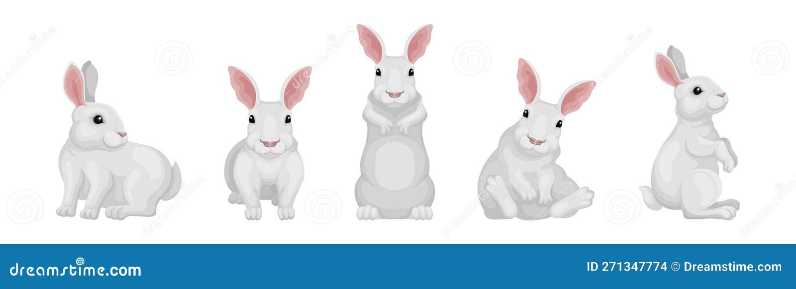 Rabbit with Long Ears and White Coat in Different Pose Vector Set Stock ...