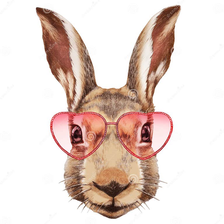 Rabbit In Love Portrait Of Rabbit With Sunglasses Stock Illustration