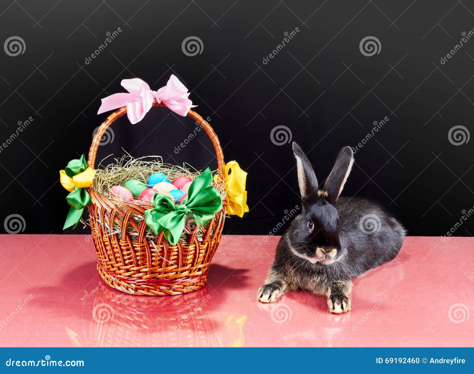 Rabbit is Lying Near a Basket on a Black Background Stock Photo - Image ...