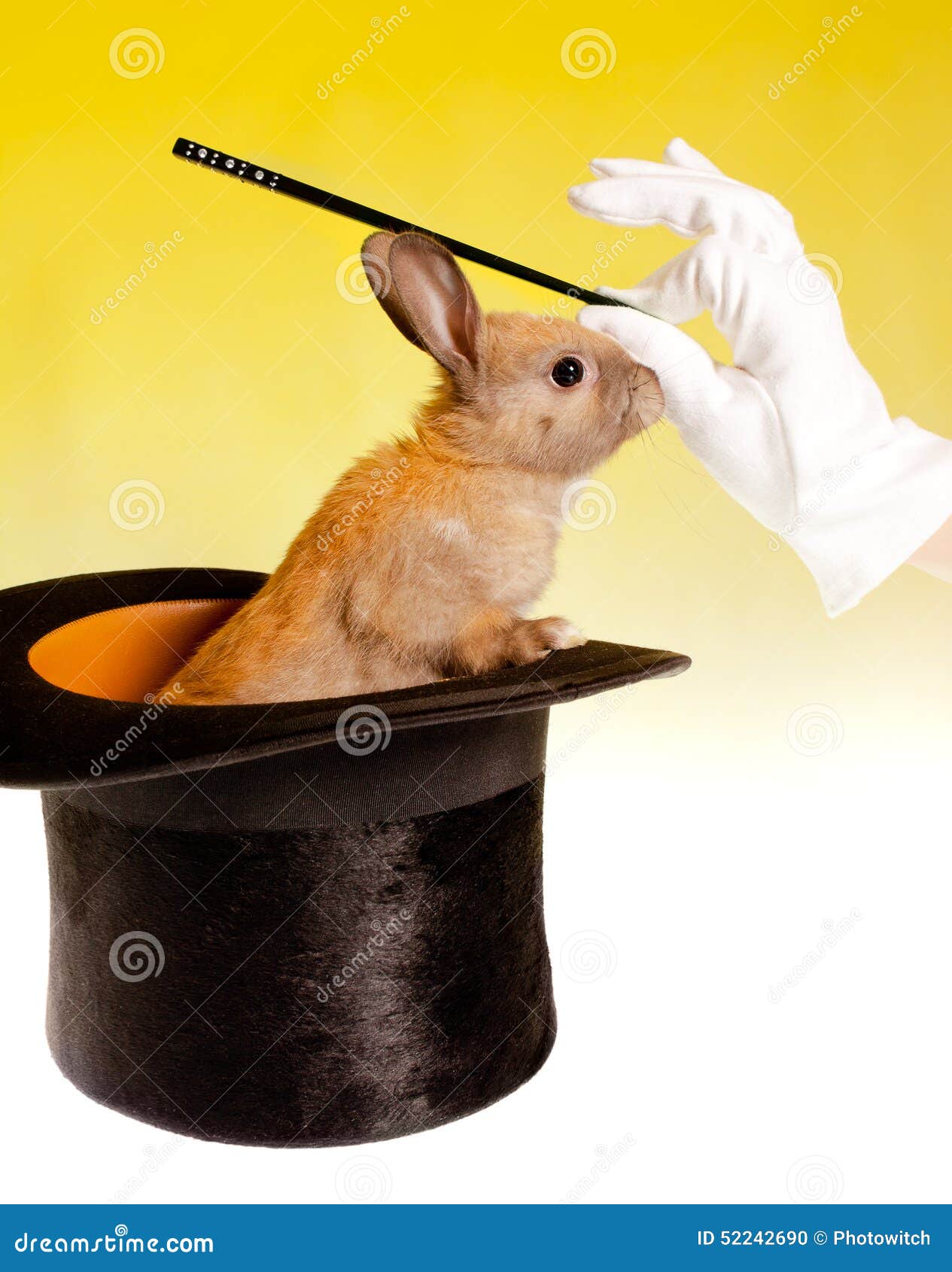 Rabbit magic stock photo. Image of sweet, illusionist - 52242690