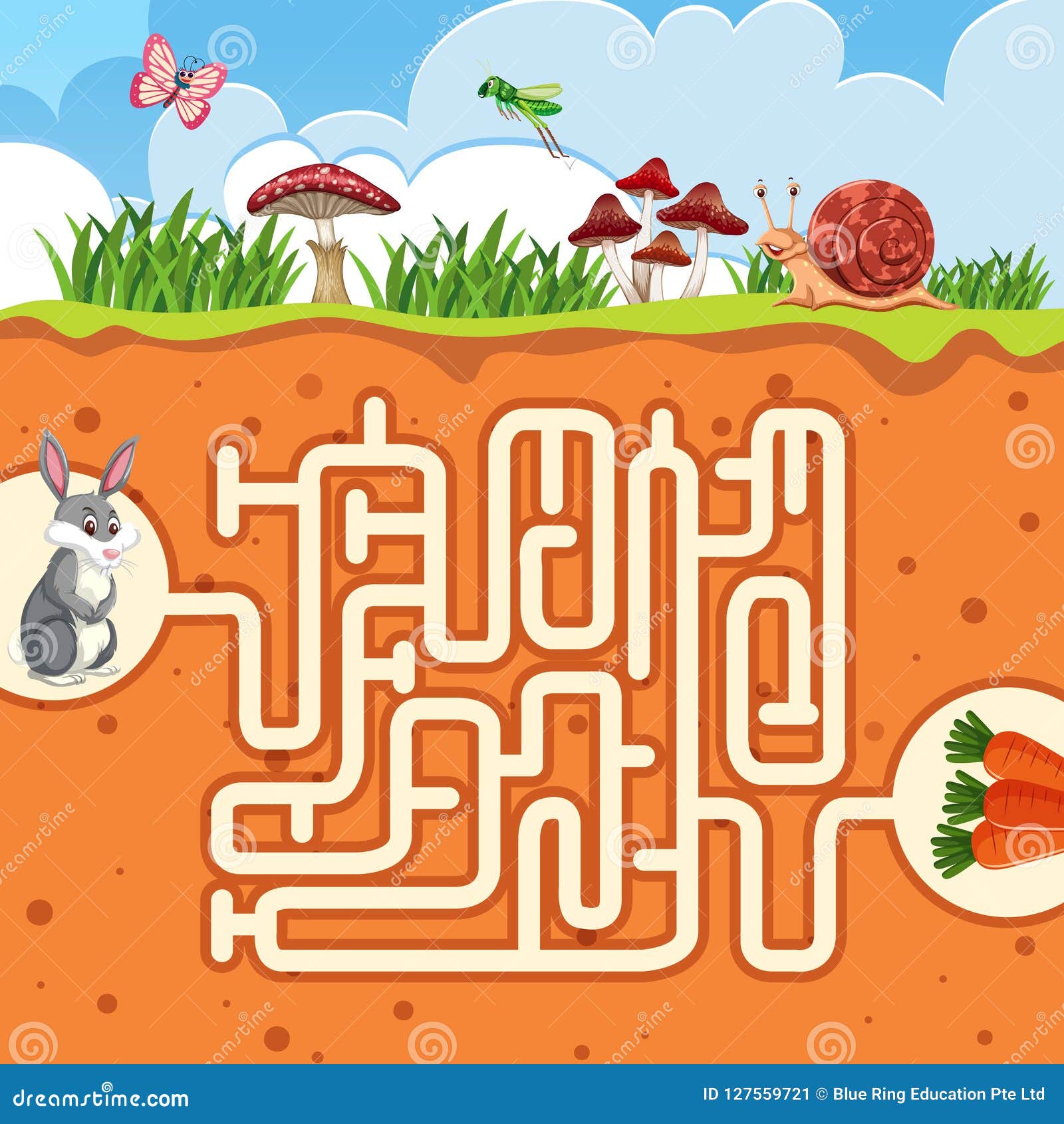 Rabbit maze game template stock vector. Illustration of snail - 127559721