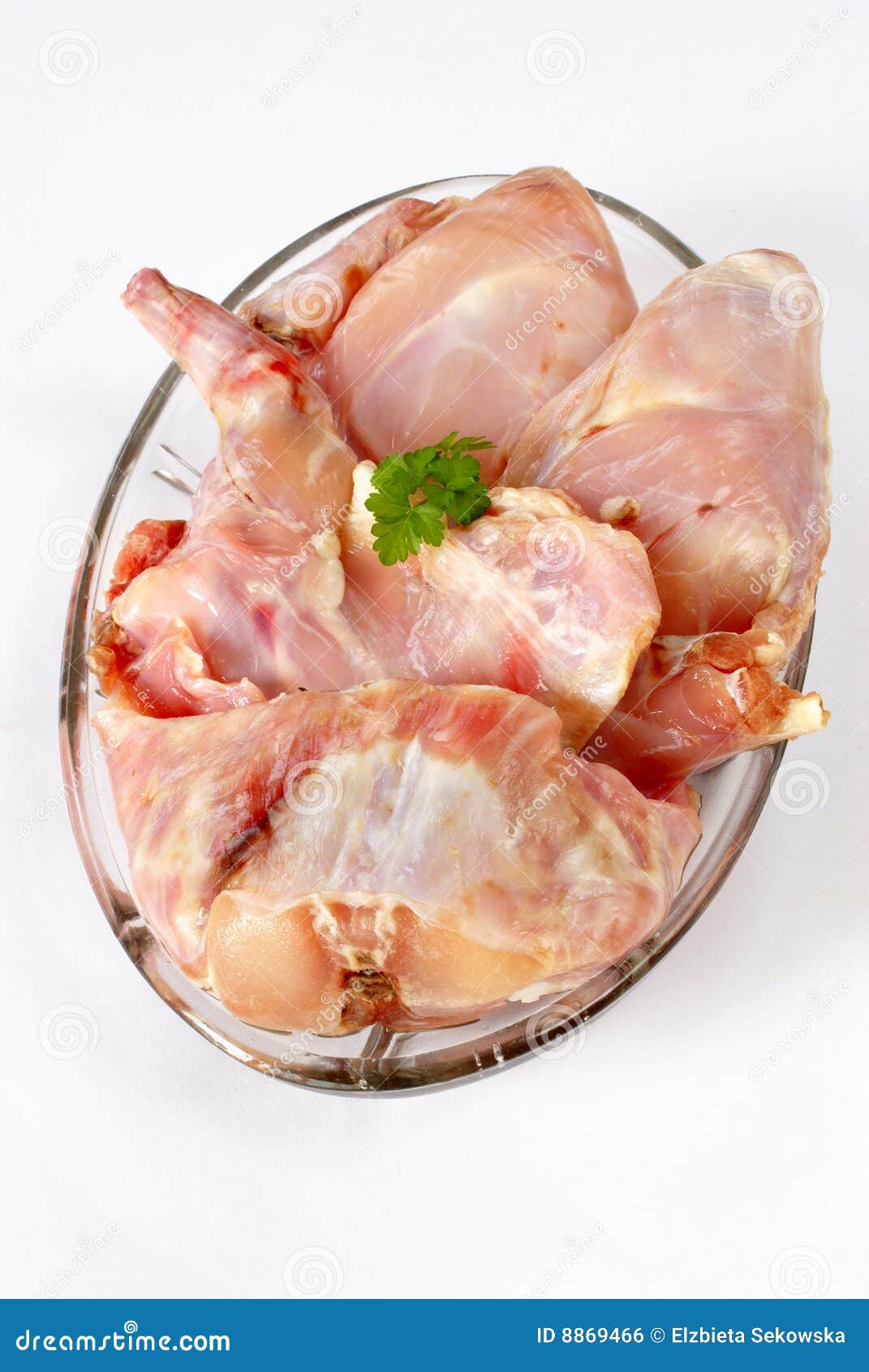 Rabbit meat stock photo. Image of rabbit, color, portion - 8869466