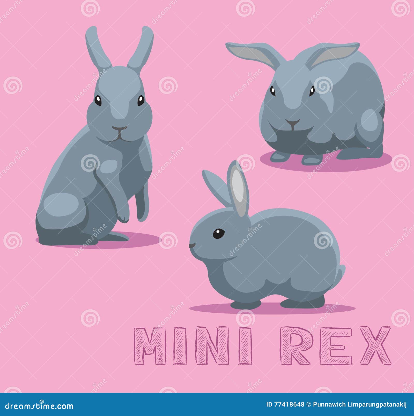 Rabbit Mini Rex Cartoon Vector Illustration Stock Vector - Illustration ...