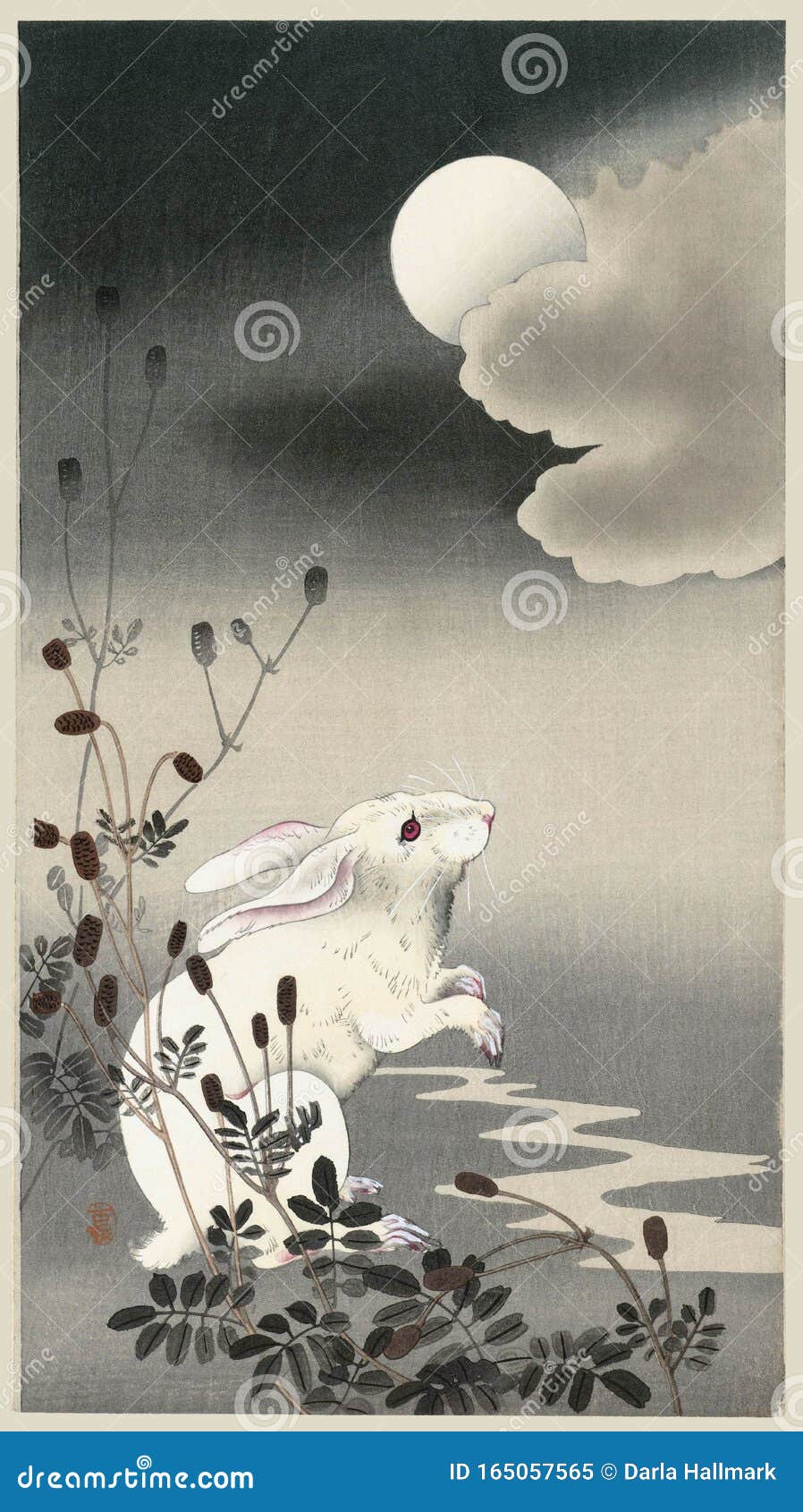 Rabbit and Moon. stock image. Illustration of print - 165057565