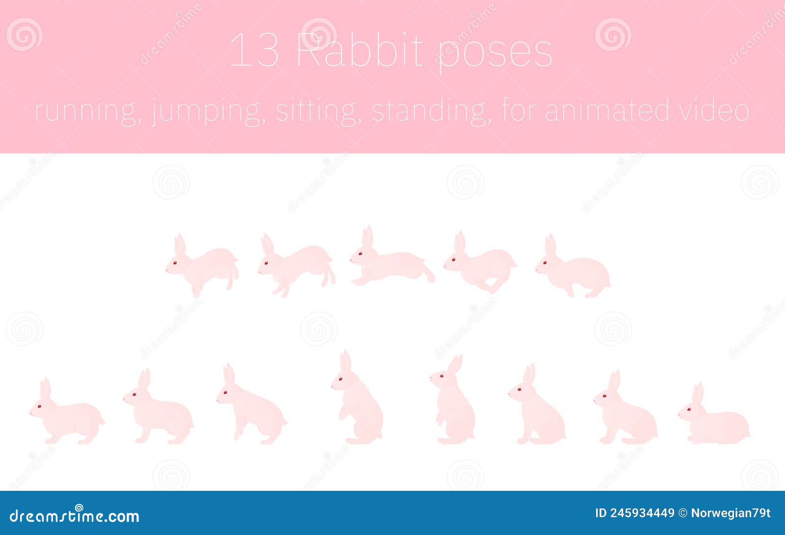 Rabbit Movements For Animation, Running And Jumping And Standing Up ...