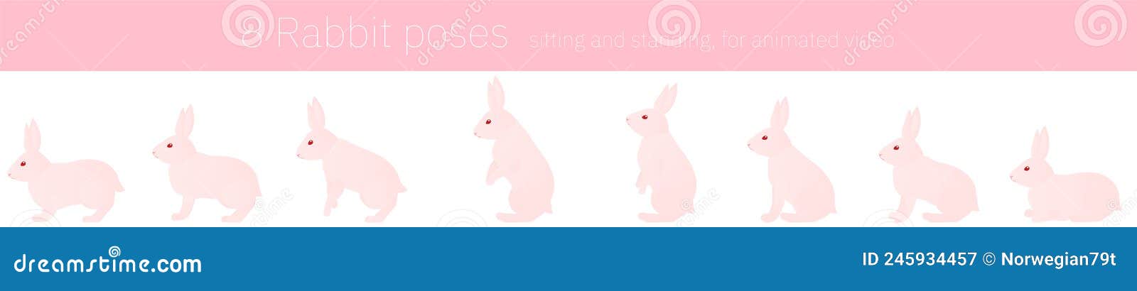 Rabbit Movements For Animation, Running And Jumping And Standing Up ...
