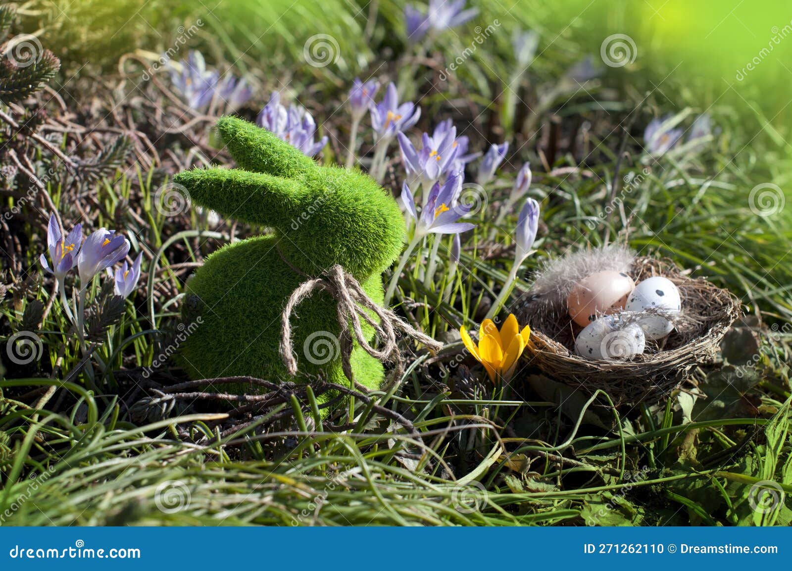 Rabbit with Nest with Eggs and Crocus Stock Photo - Image of yellow ...