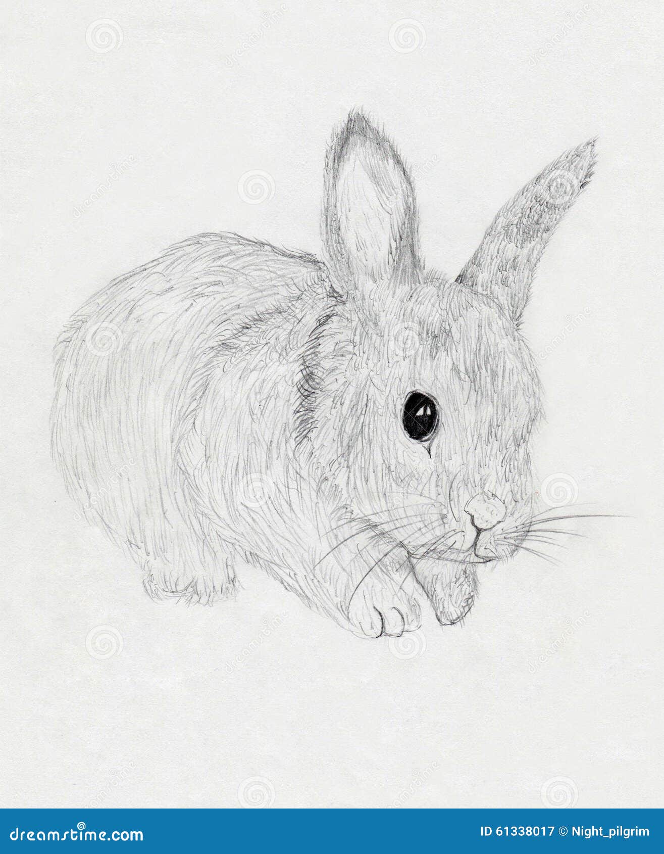 Rabbit, pencil sketch stock illustration. Illustration of idle - 61338017