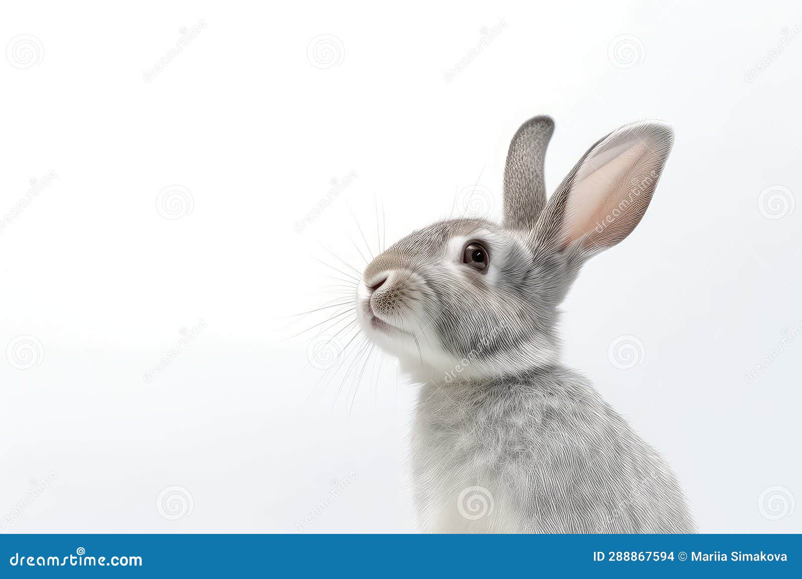 Rabbit Photo Realistic Illustration - Generative AI. Stock Illustration ...