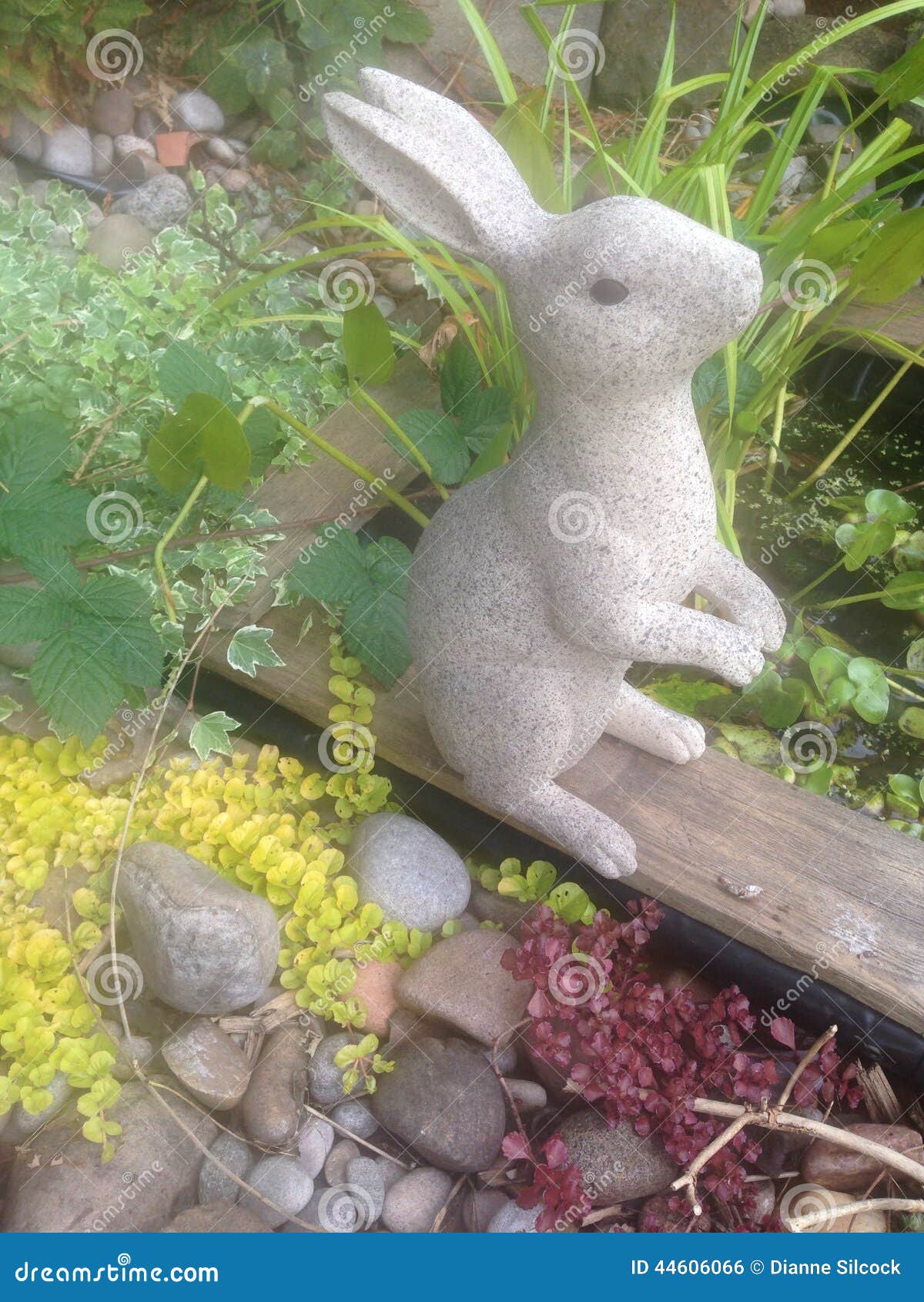 Rabbit stock photo. Image of water, green, plants, pond - 44606066