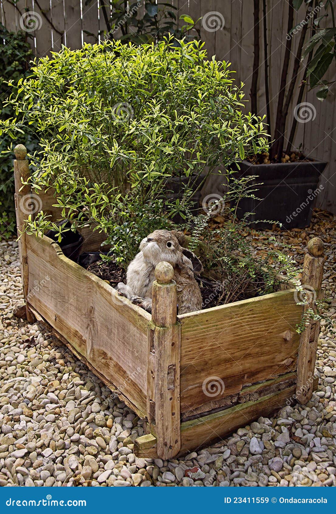 Rabbit pot stock image. Image of garden, sustainable - 23411559