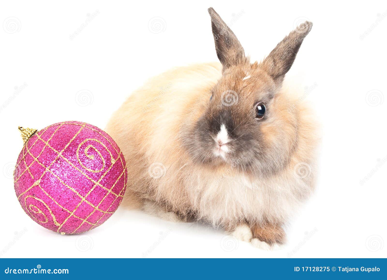 Rabbit and red ball stock image. Image of holiday, isolation - 17128275