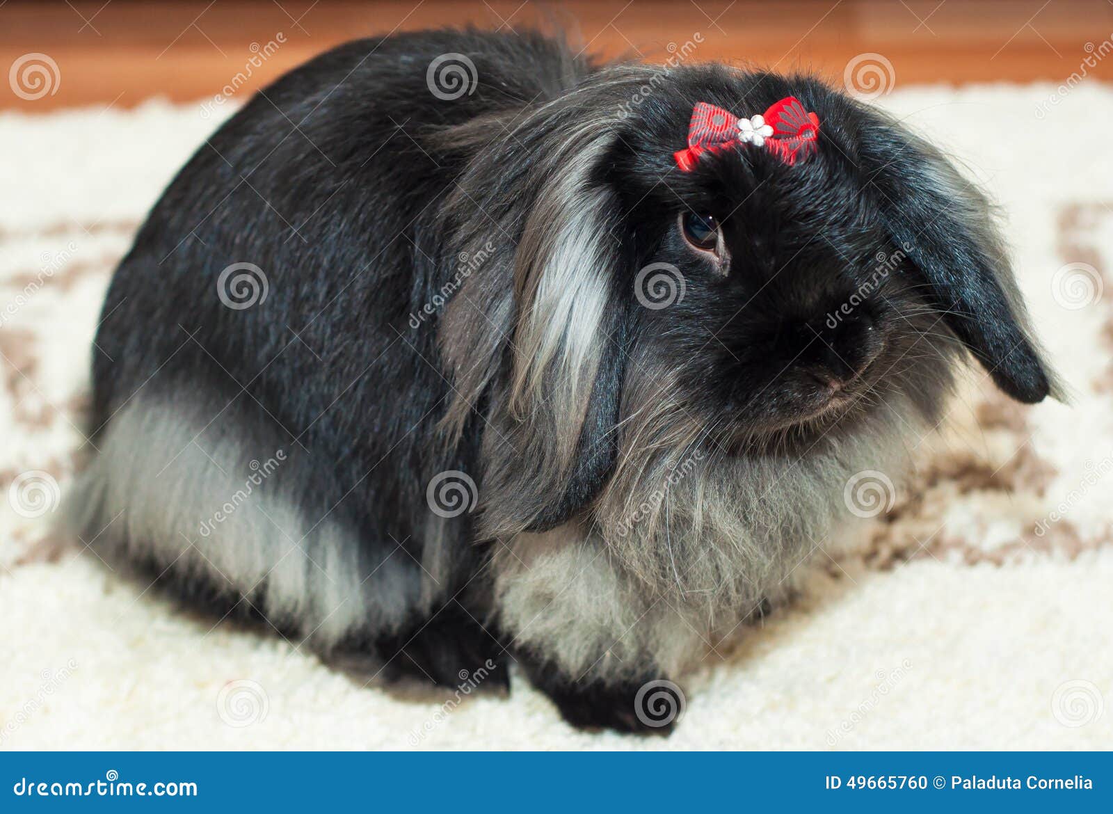 Rabbit with red bow stock photo. Image of background - 49665760