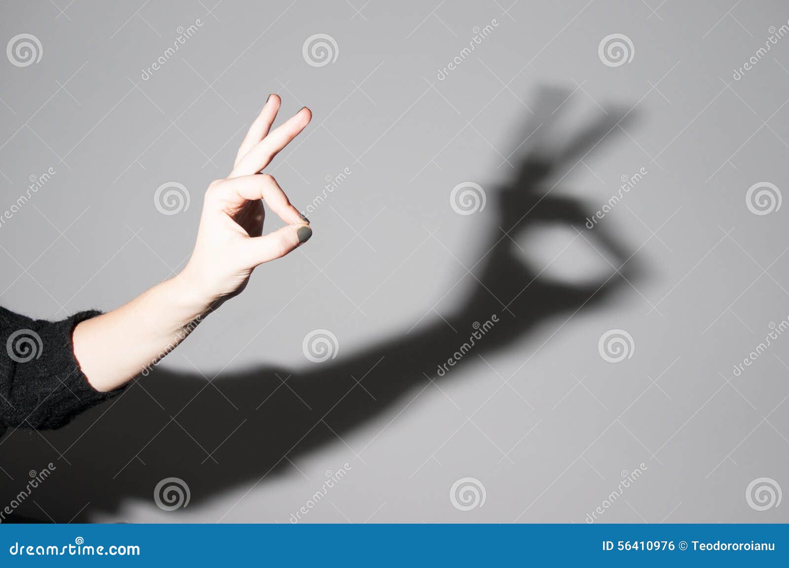 Rabbit shadow stock photo. Image of like, gesture, hold - 56410976