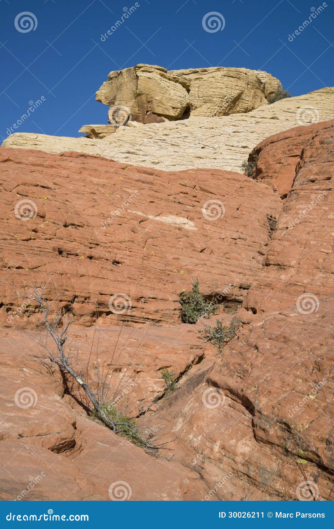 Rabbit Shaped Rock stock image. Image of boulder, desert - 30026211
