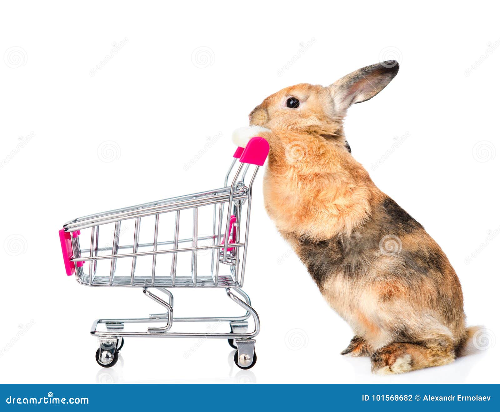 1,385 Trolley Easter Stock Photos - Free & Royalty-Free Stock Photos ...