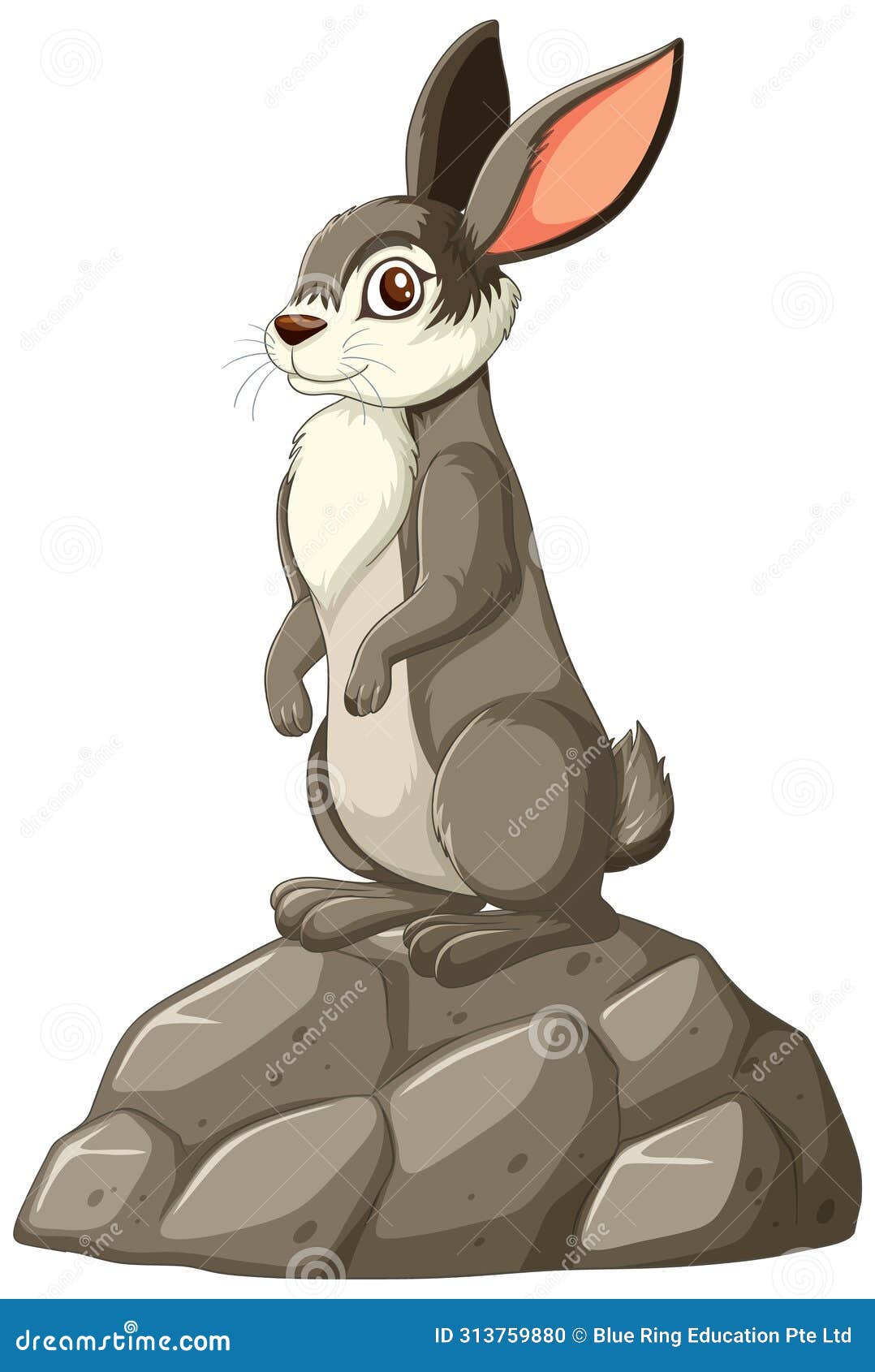 A Rabbit Sitting Atop Stones Stock Vector - Illustration of nature ...