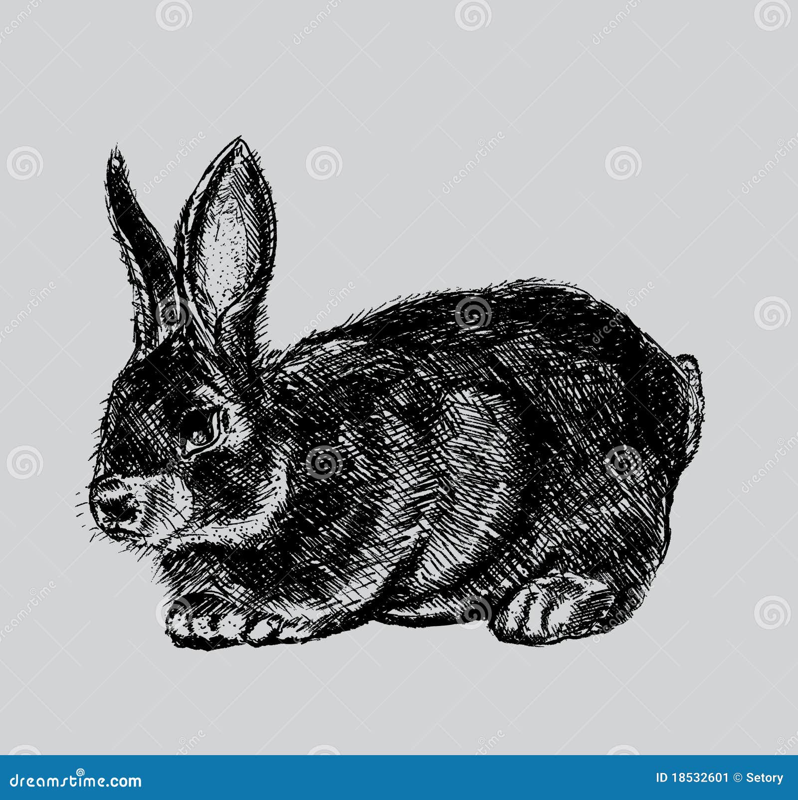 Rabbit sketch stock vector. Illustration of pencil, wool - 18532601