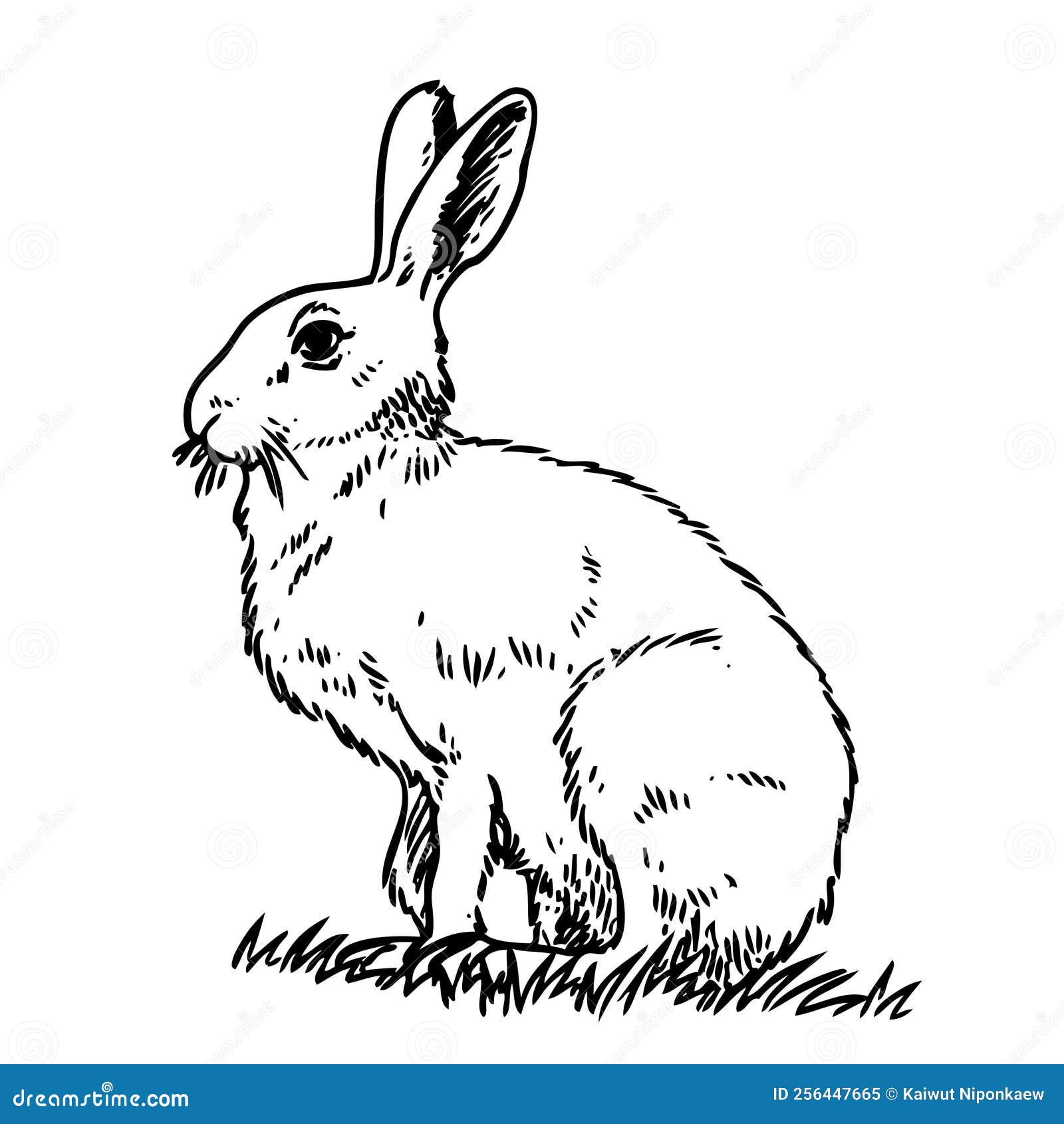 Rabbit sketch stock vector. Illustration of hand, cartoon - 256447665