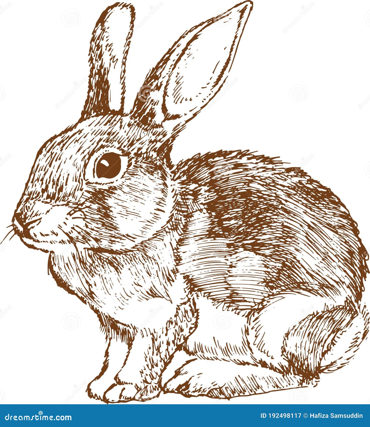 Rabbit Sketch on White Background. Vector Illustration Decorative ...