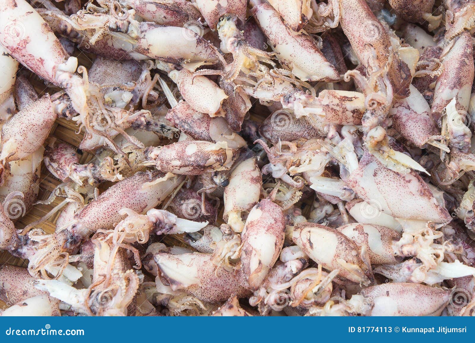 Rabbit, Squid, Dried Seafood of Thailand. Stock Image - Image of ...