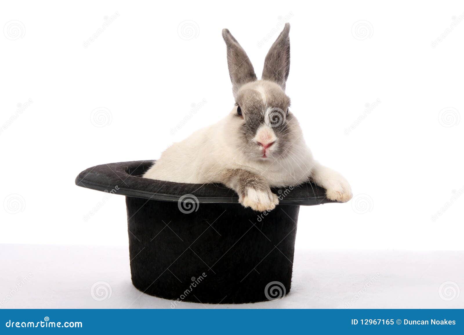 Rabbit Trick stock image. Image of magical, beautiful - 12967165