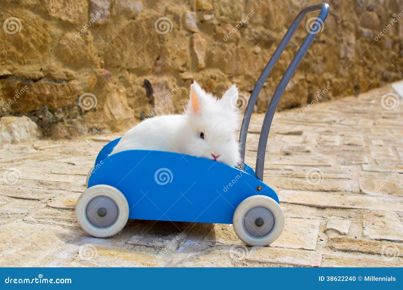 Rabbit On The Trolley Stock Photography | CartoonDealer.com #38618012