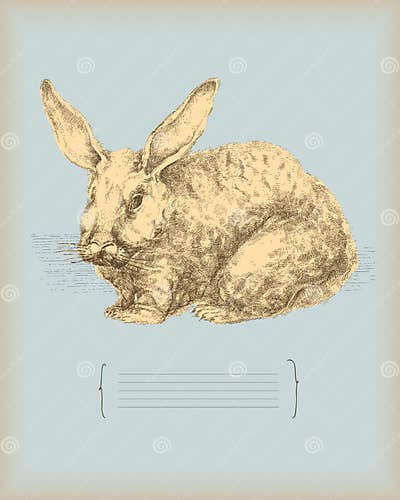 Rabbit- vintage drawing stock vector. Illustration of vintage - 13968930