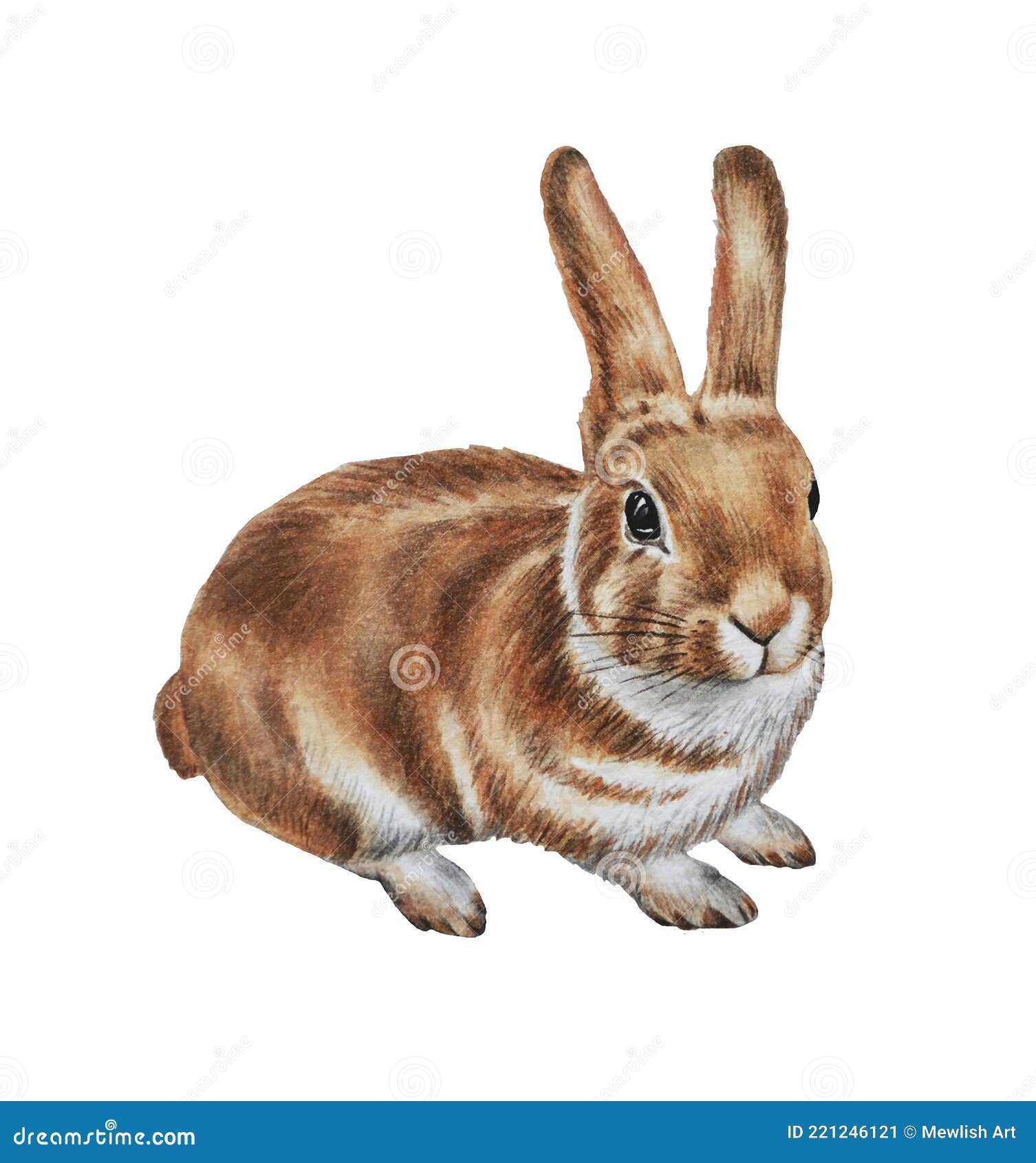 Rabbit Watercolor Hand Drawn Illustration. Stock Image - Image of ...