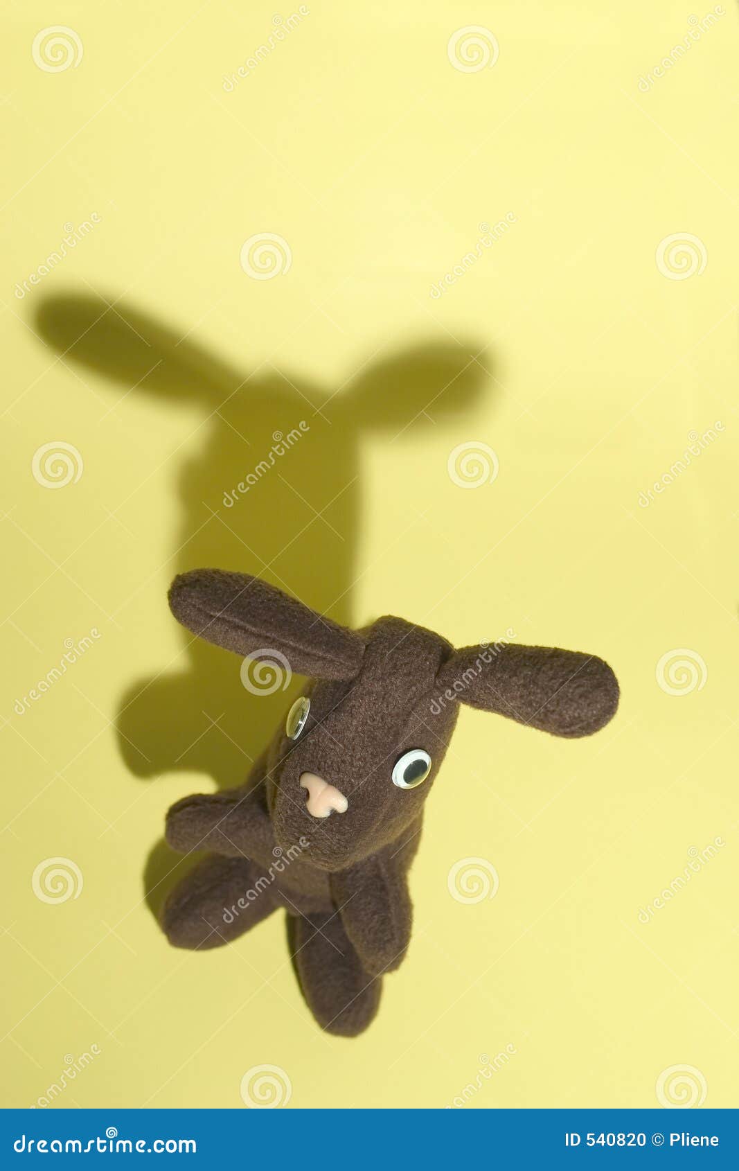 Rabbit Yellow 1 Stock Photos - Free & Royalty-Free Stock Photos from ...