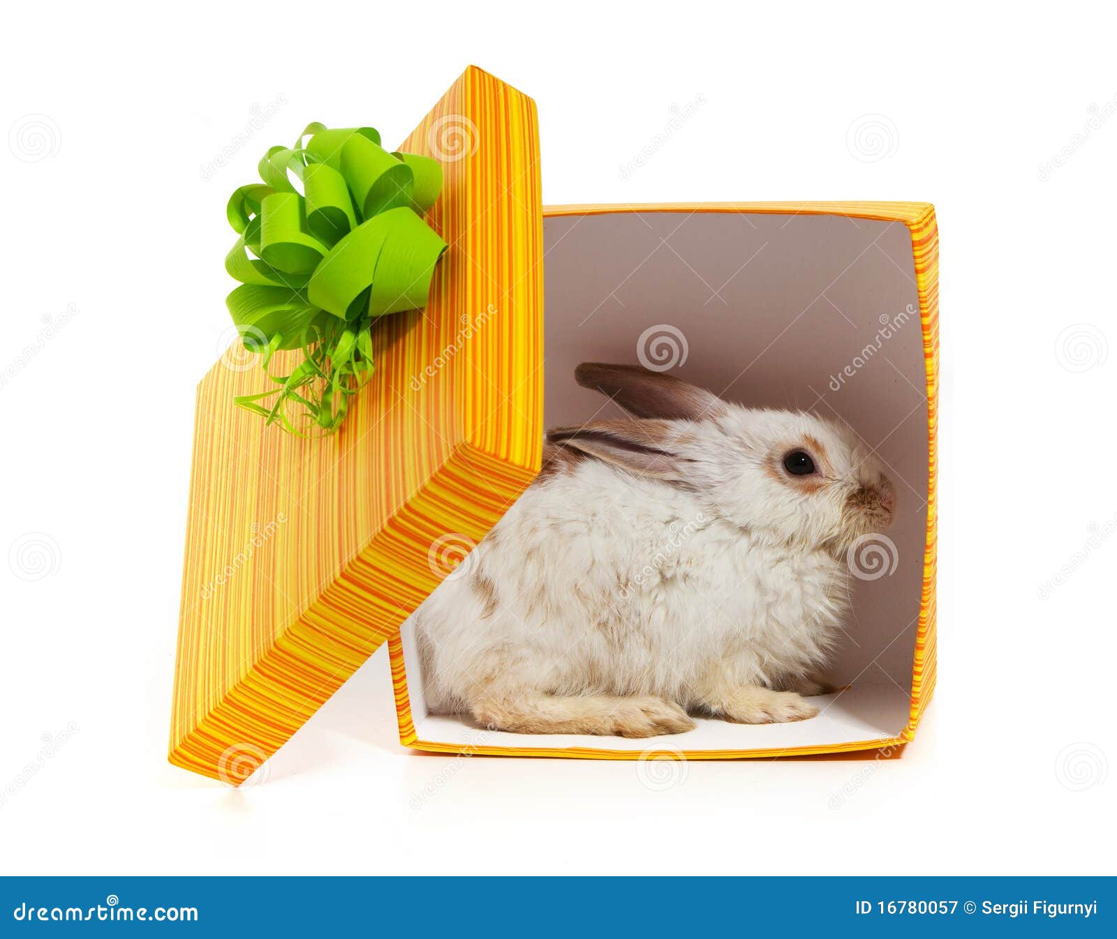 The Rabbit in the Yellow Box Stock Image - Image of celebration, merry ...