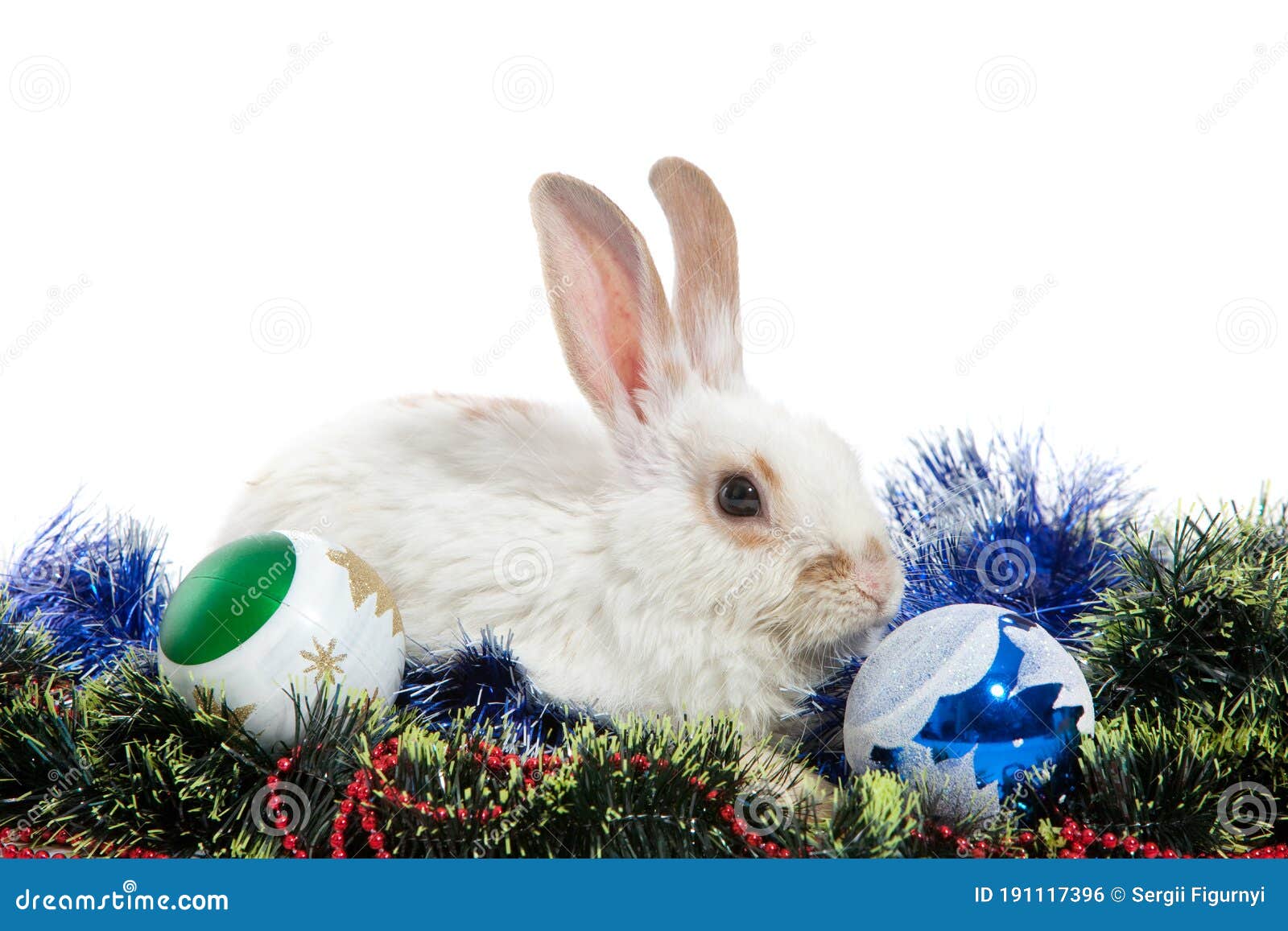 The rabbit in the yellow stock photo. Image of tiny - 191117396