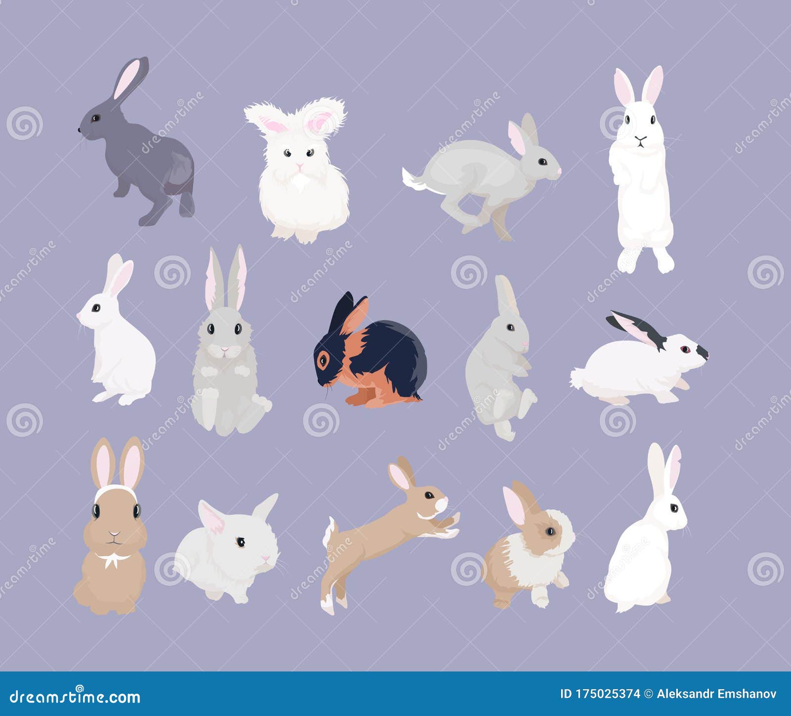 Rabbits Breeds Chart Vector Illustration | CartoonDealer.com #111212194