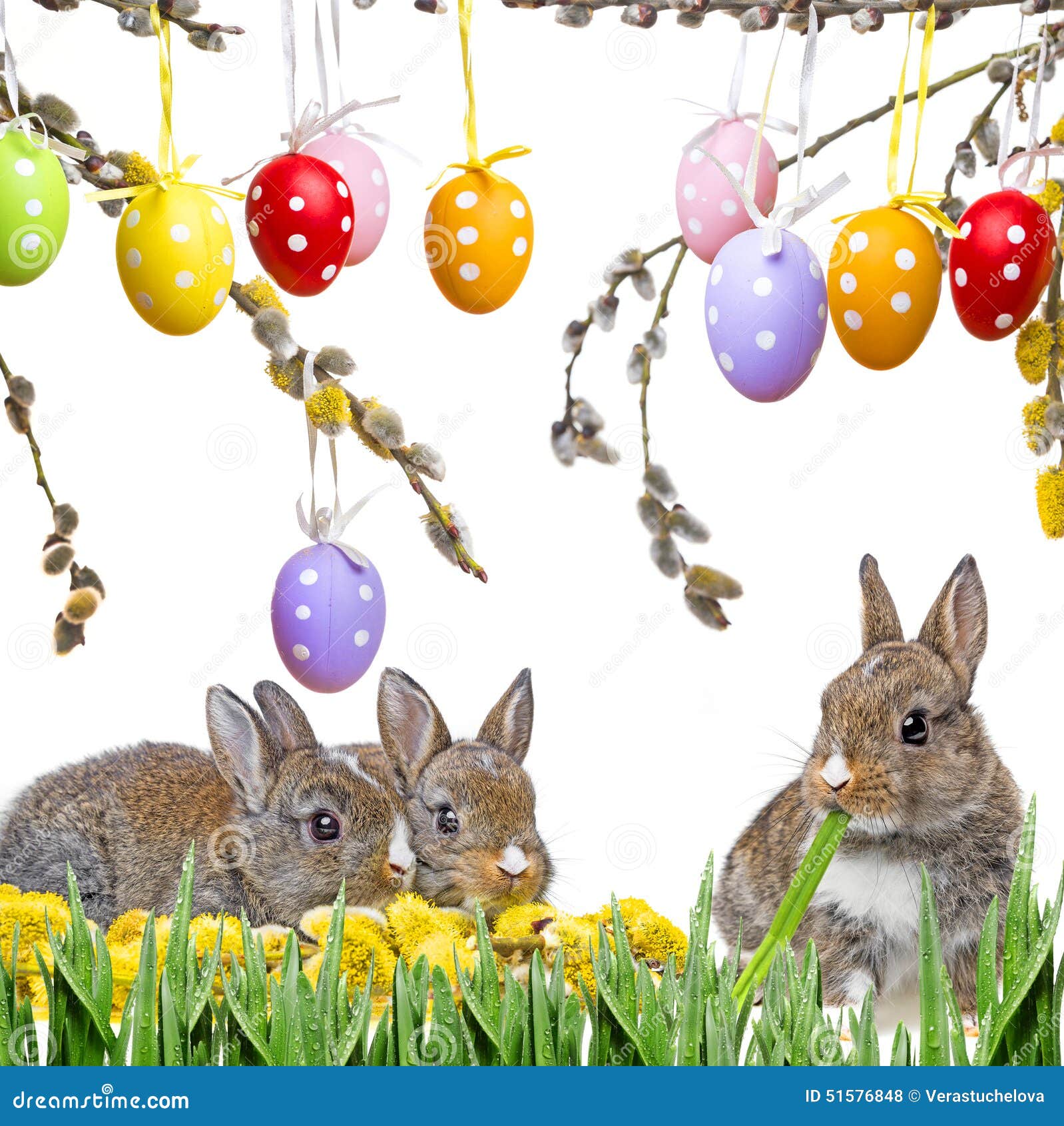 Rabbits stock photo. Image of flowering, closeup, fresh - 51576848