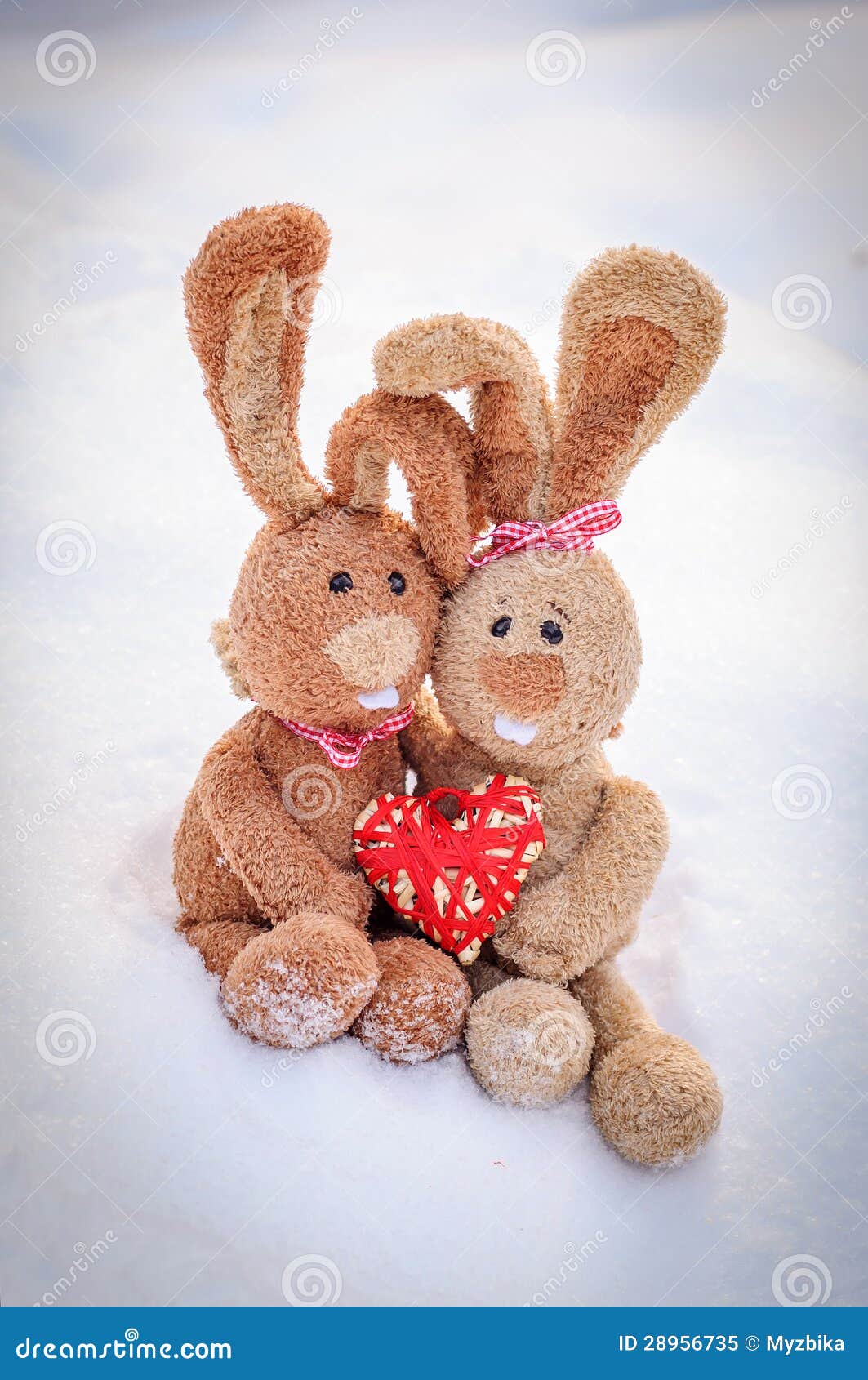 Rabbits in Love with a Heart Stock Image - Image of love, female: 28956735