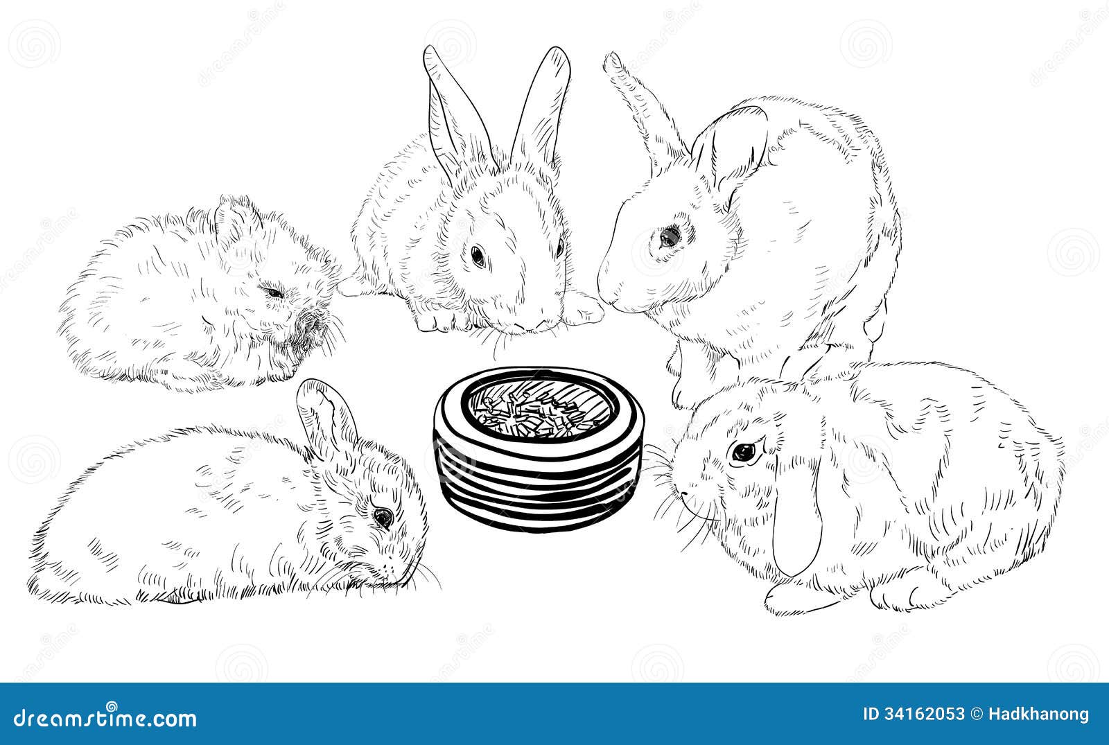 Rabbits Surrounding Food Bowl Stock Illustration - Illustration of ...