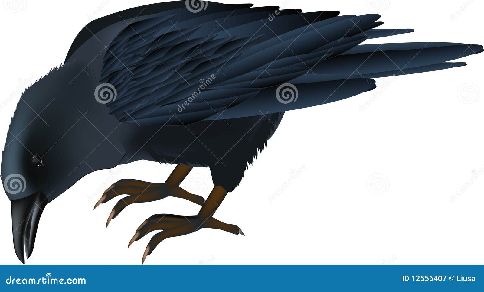 Rabe vektor abbildung. Illustration von gleiten, hintergründe - 12556407